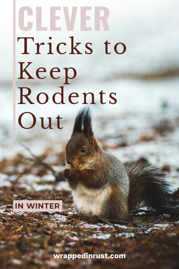 Clever Tricks to Keep Rodents Out in Winter - Wrapped in Rust